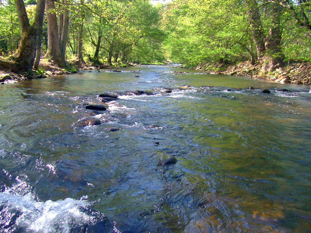 Welcome | Catskill Watershed Corporation