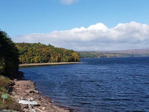 Watershed – Catskill Watershed Corporation