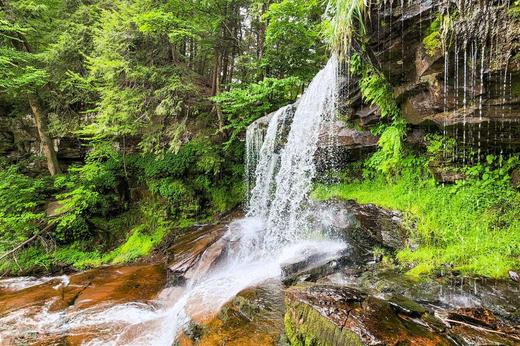 Watershed – Catskill Watershed Corporation