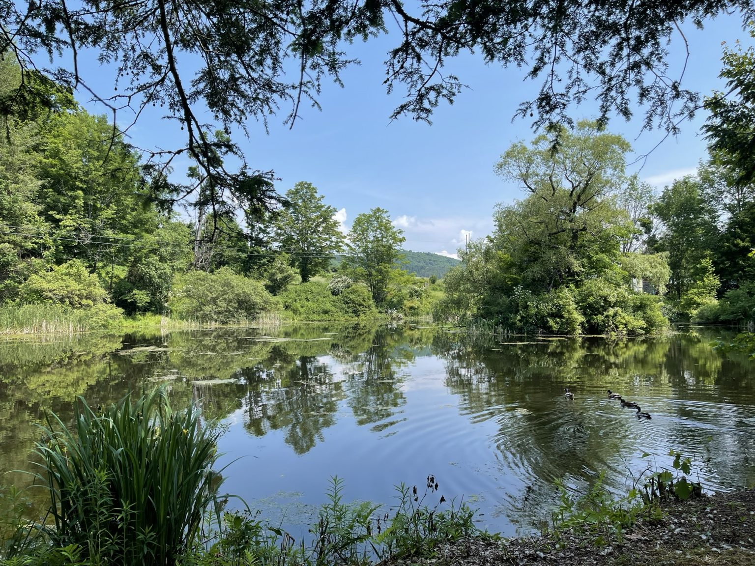 Community Initiatives Catskill Watershed Corporation